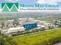 Musim Mas Group - Kontraktor HVAC